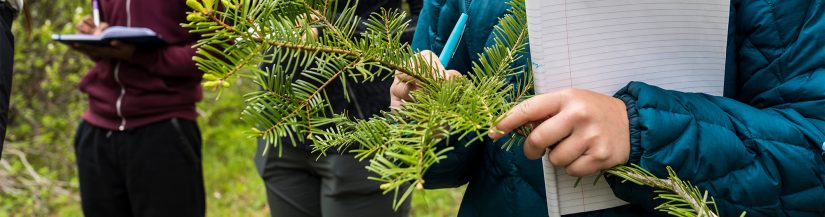 Alumni | School of Environmental and Forest Sciences