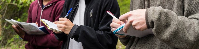 Documents and Forms | School of Environmental and Forest Sciences