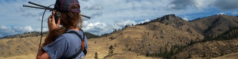 Faculty and Research | School of Environmental and Forest Sciences