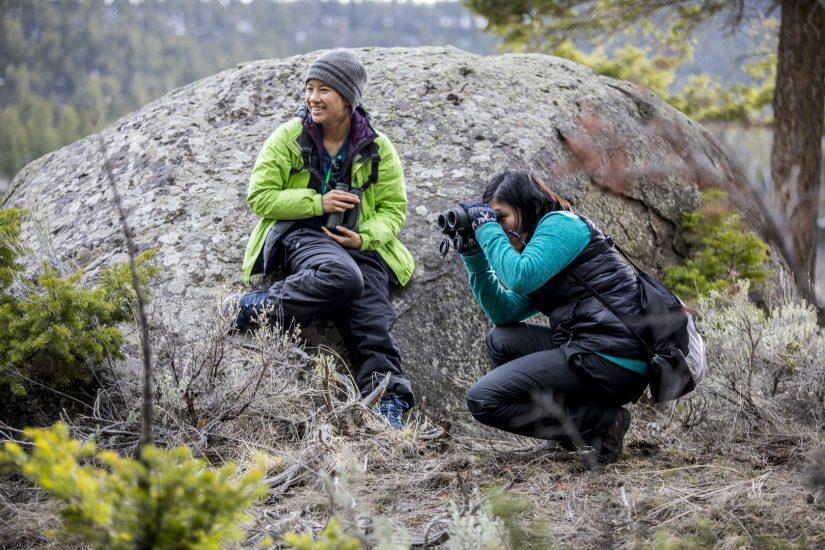 Graduate Programs | School of Environmental and Forest Sciences