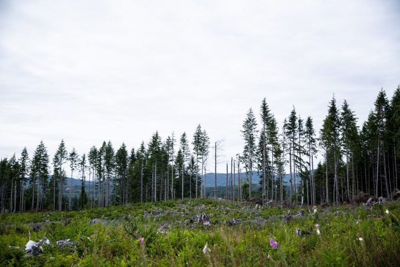 Partnership Highlight: Olympic Natural Resources Center & Washington ...