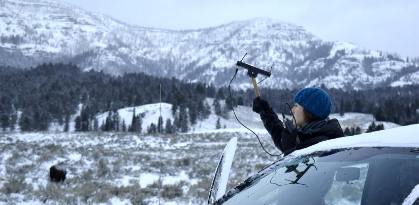 Admissions | School of Environmental and Forest Sciences