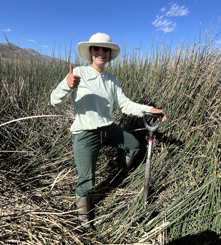 Rachel Buchler | School of Environmental and Forest Sciences